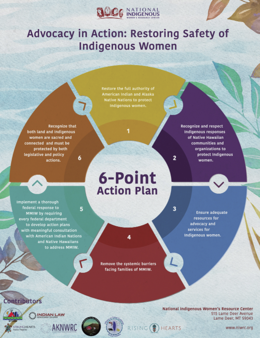 Advocacy in Action: 6-Point Action Plan | NIWRC